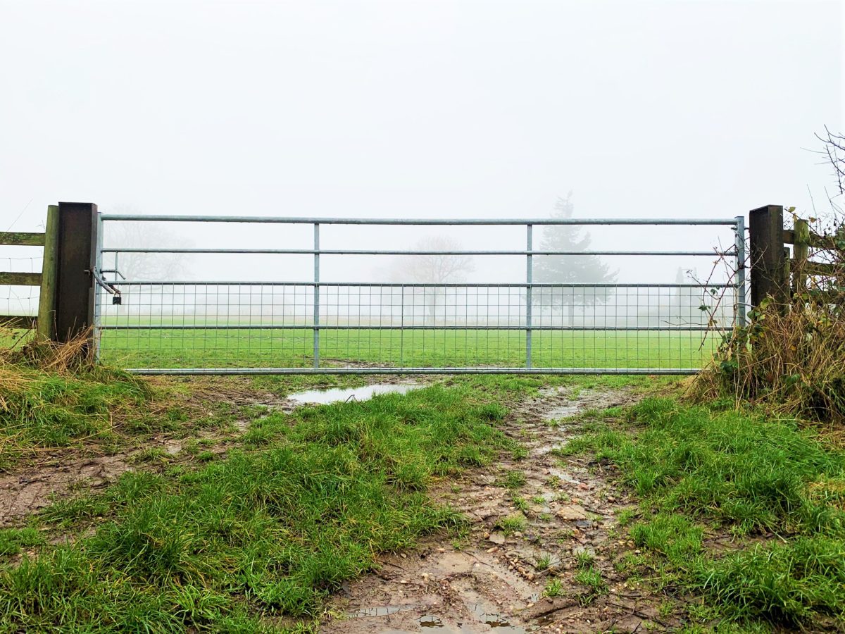 Half Mesh Gates in Staffordshire - RP George