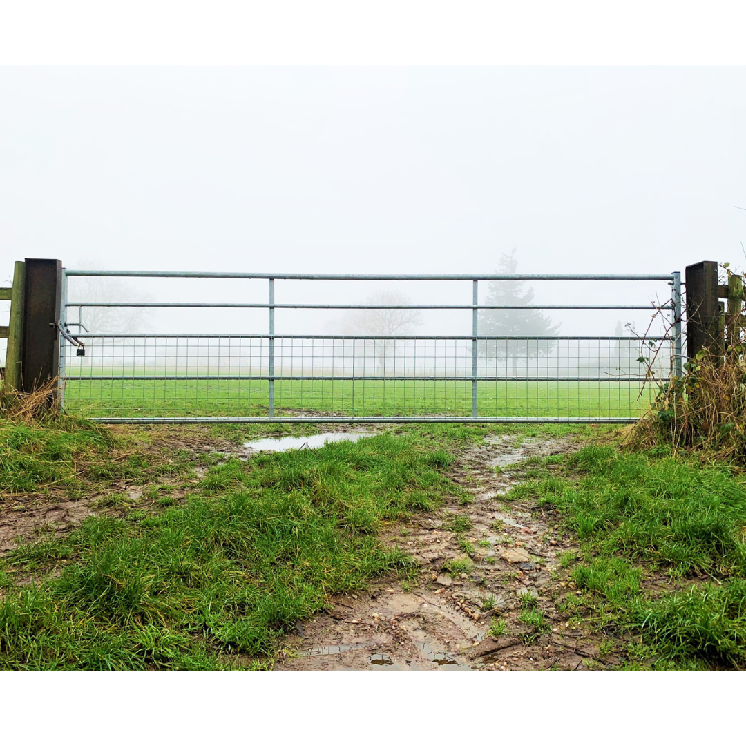 Half Mesh Gates in Staffordshire - RP George